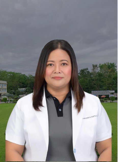 Mindoro State University