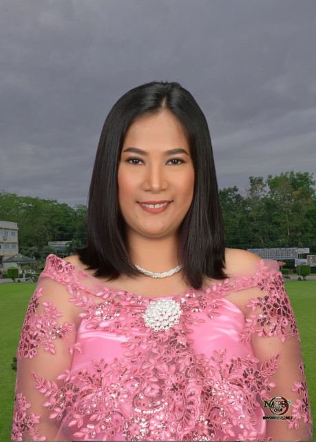 Mindoro State University